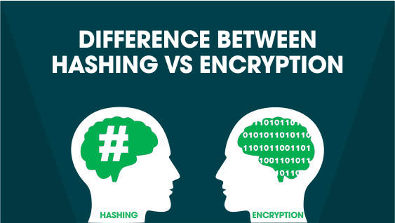 Hashing vs Encryption - What is The Difference Between? Hashing vs Encryption - What is The Difference Between?